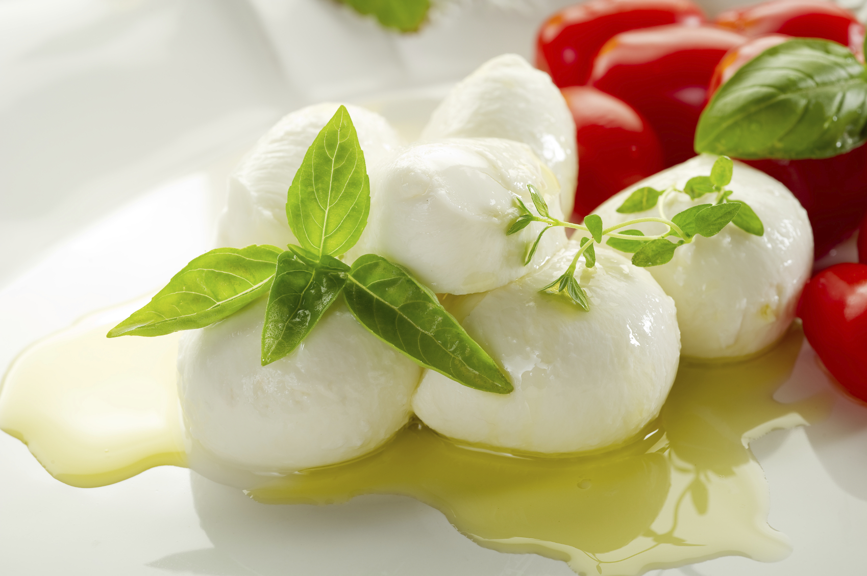Latteria Mozzarella Bar replaces The Jackson Plan - BK Magazine Online ...