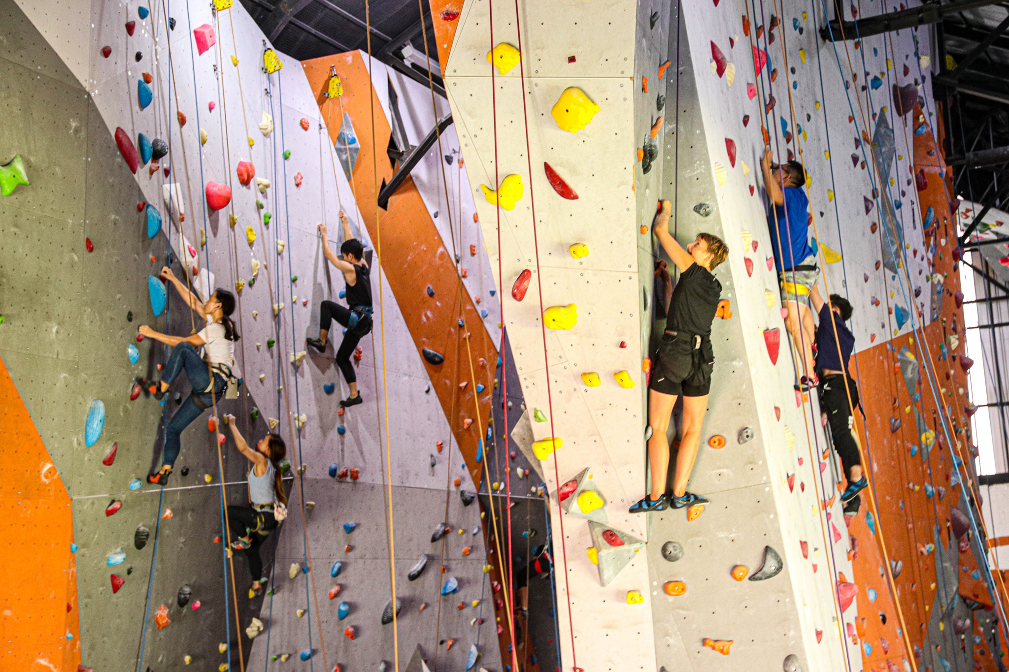Scale the heights at Bangkok’s best rock climbing gyms - BK Magazine ...