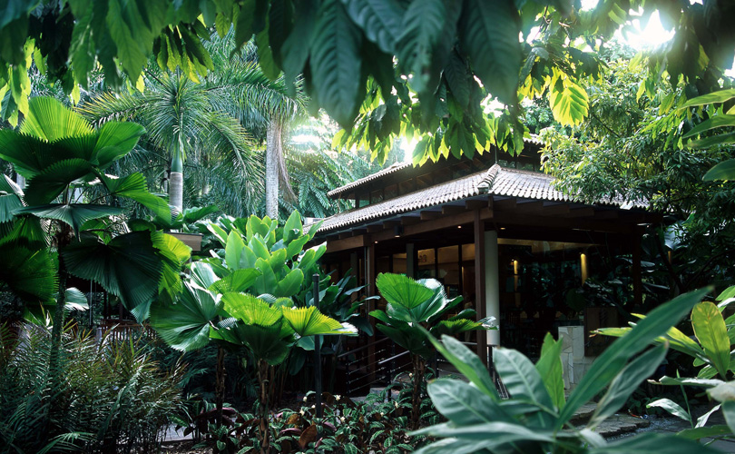 The Halia - BK Magazine Online | The insider's guide to Bangkok