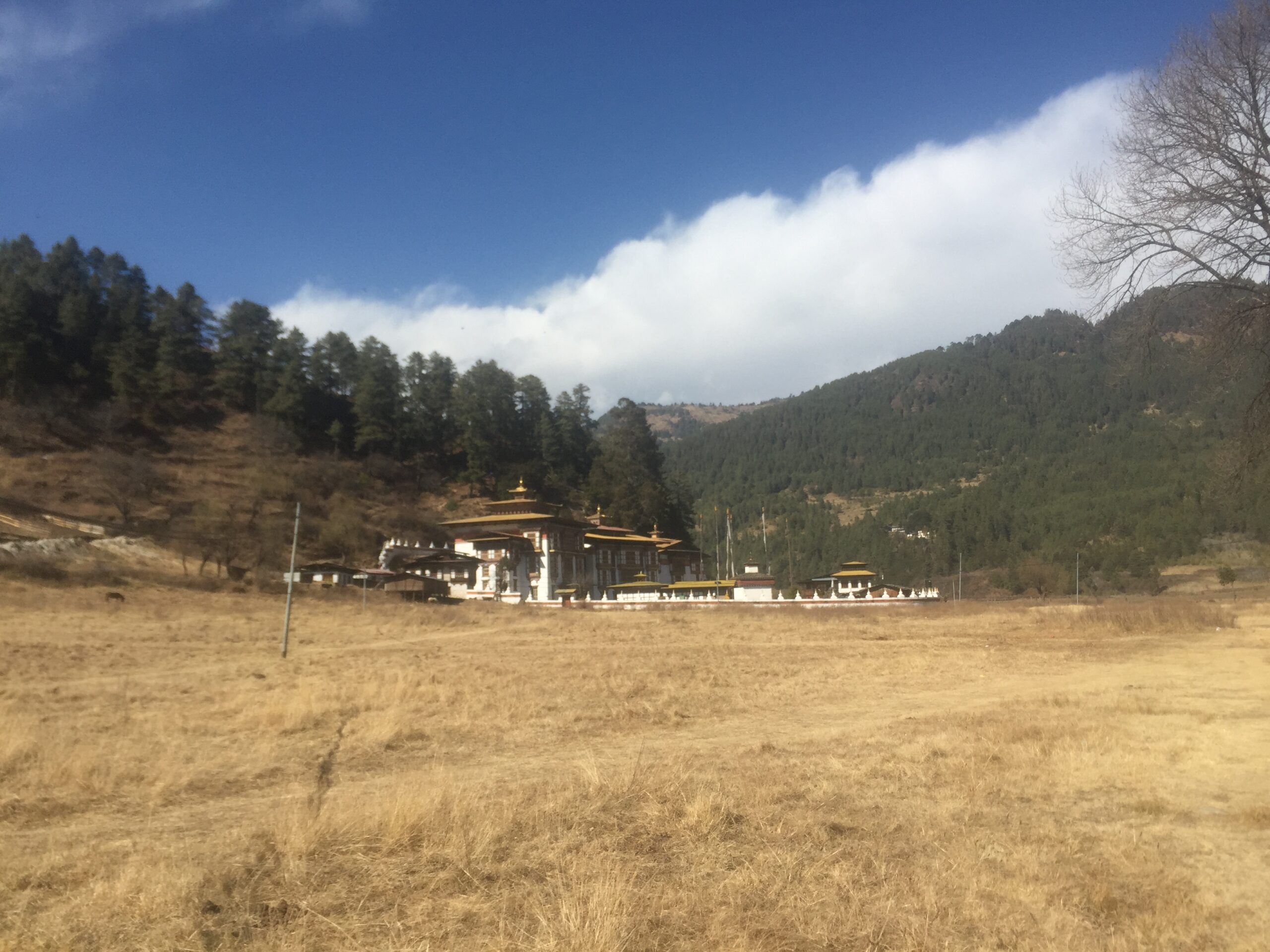 Amazing festivals and delicious beers in Bhutan's lesser known valleys ...