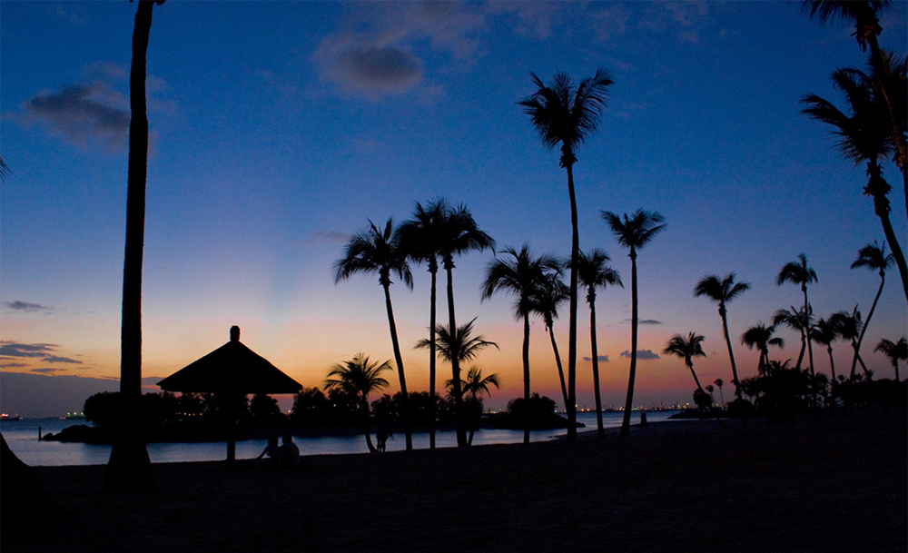Sunset Cinema Tanjong Beach just released an exciting lineup of film ...