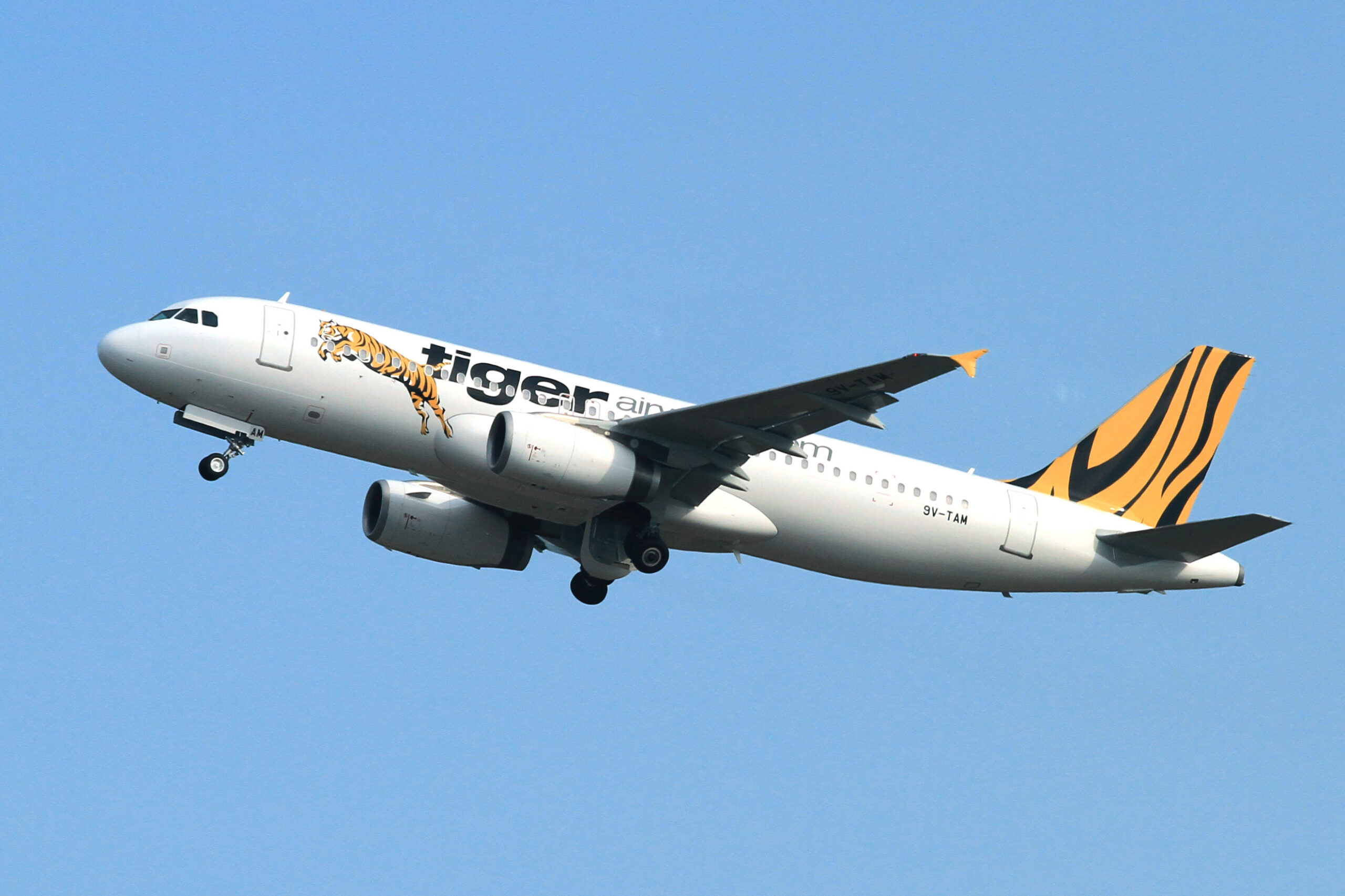 Yet more Tigerair flights to China - BK Magazine Online | The insider's ...